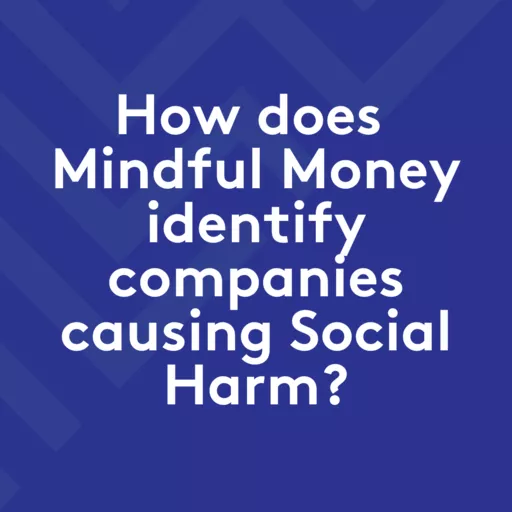 Social Harm Research Methodology - Mindful Money